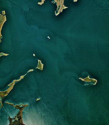 Color Infrared Orthophoto, NW quadrant of Mitchell Island Quadrangle ...