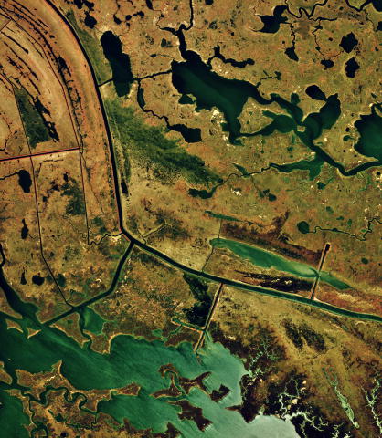 Color Infrared Orthophoto, NW quadrant of Lake Eloi Quadrangle, LA, 50: ...