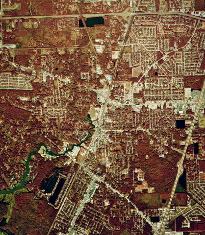Color Infrared Orthophoto, SE quadrant of Slidell Quadrangle, LA, 50:1 ...